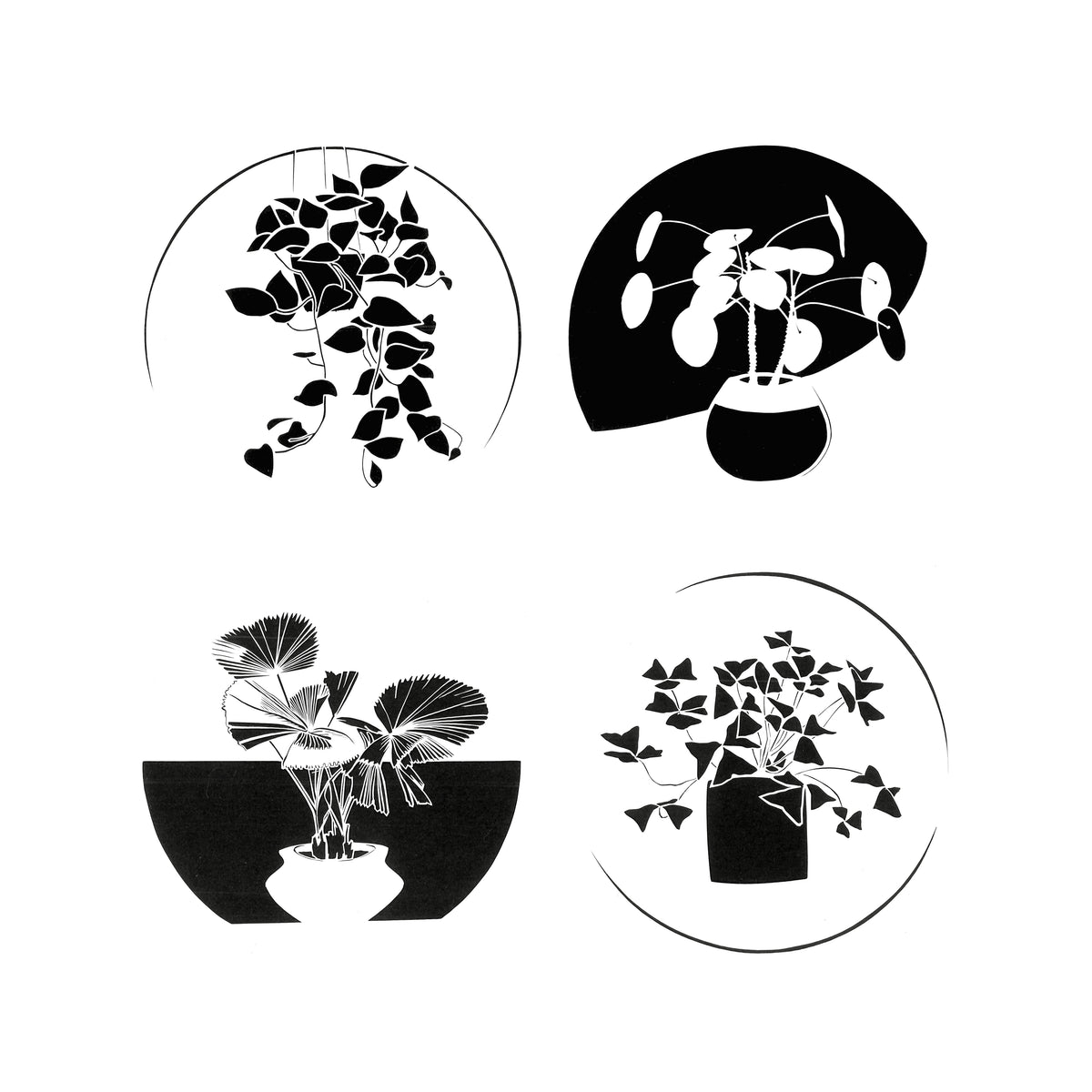 RUTH HOWES: Plant Holes - 4 - Black on White | par-avion co